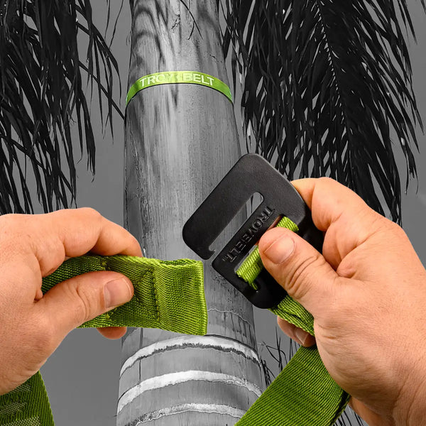 Palm Tree Safety Strap for Palm Fronds 5 ft - 1 Pack - troybeltusa
